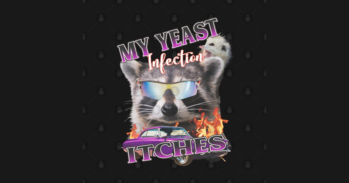 Funny Raccoon Meme My Yeast Infection Itches Weird Humor - Funny ...
