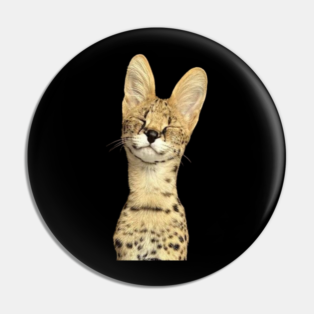 Sogga My Beloved Serval Meme Cat Meme | lupon.gov.ph