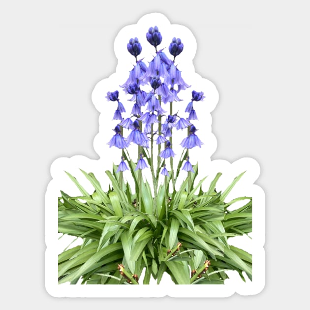 Blue Flowers - Blue Flowers - Sticker | TeePublic