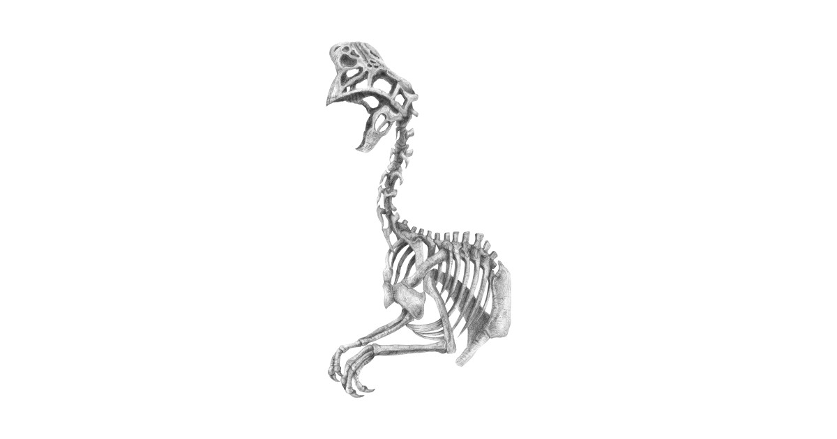 Oviraptor skeleton - Dinosaur Art - T-Shirt | TeePublic