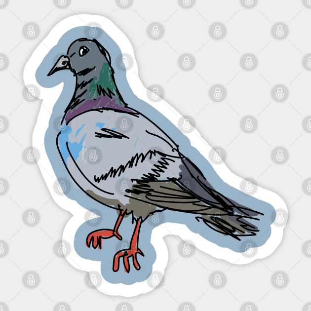 Pigeon - Pigeon - Sticker | TeePublic