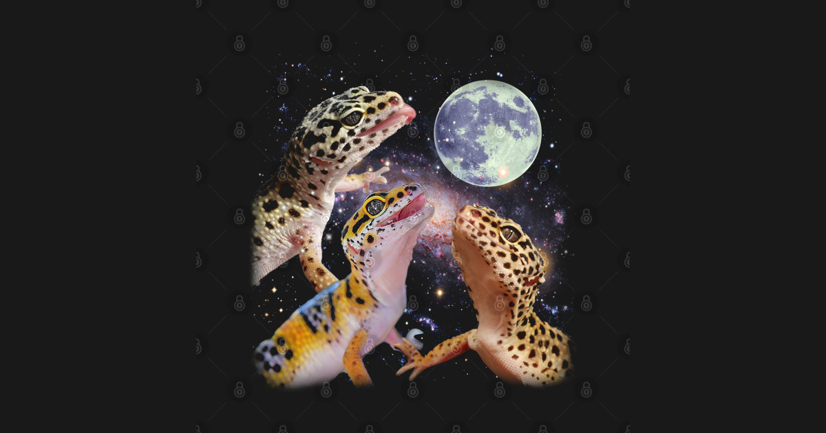 Gecko Grace MOON Art Celebrating the Elegance of Leopard Geckos ...