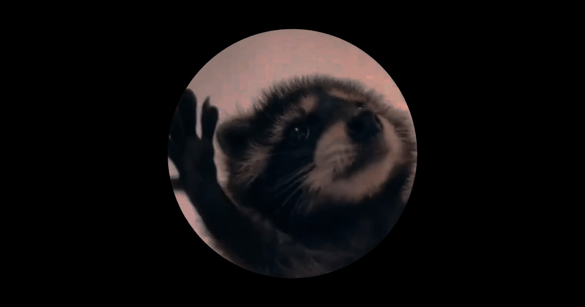 Pedro raccoon meme, dancing raccoon pedro meme trendy shirt, dancing ...