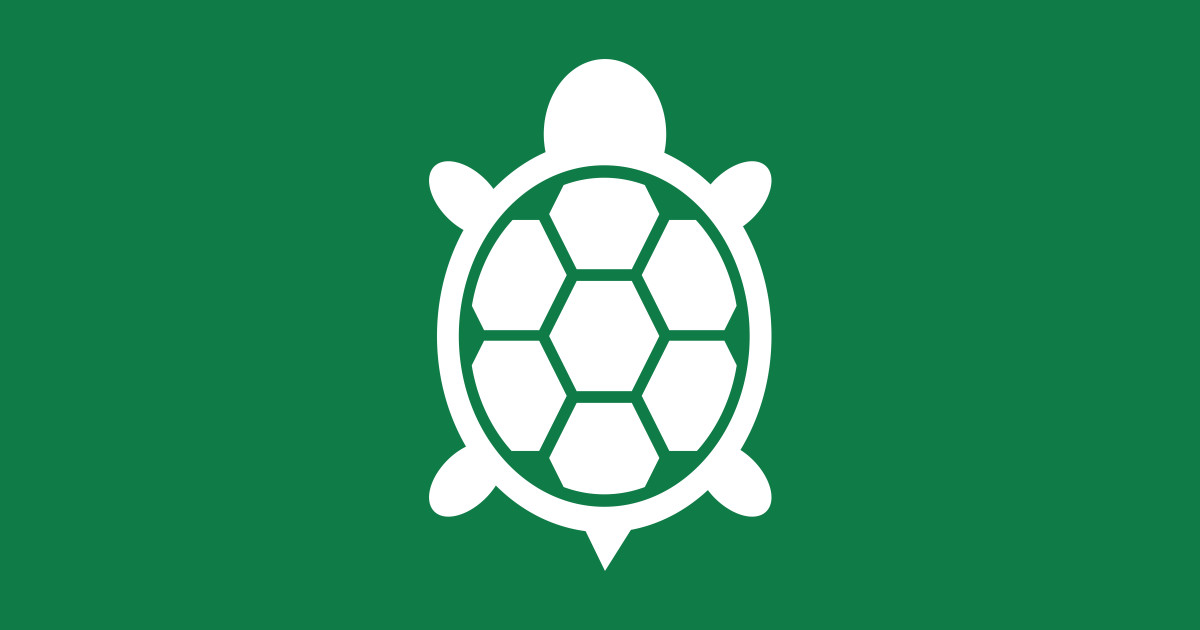 Minimalist Turtle Design - Turtles - T-Shirt | TeePublic