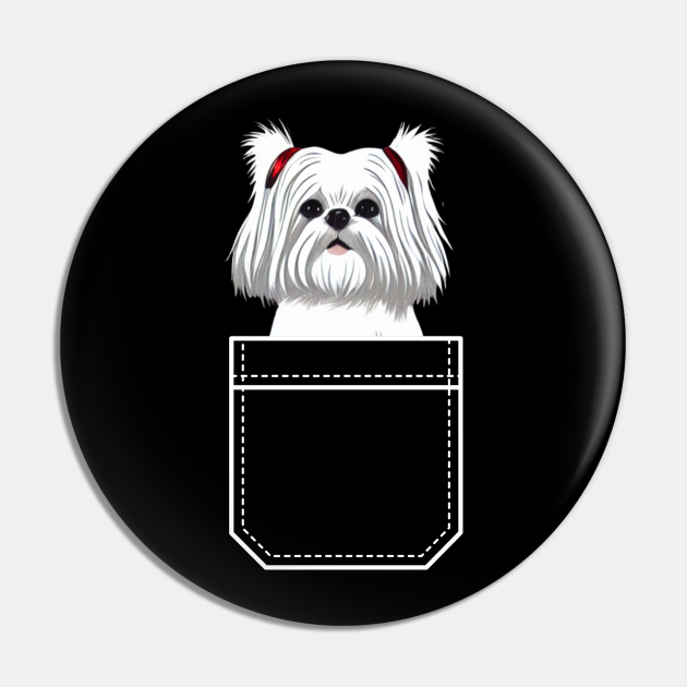 Malshi Puppy Crusty White Dog Maltese Mom - Crusty White Dog - Pin ...