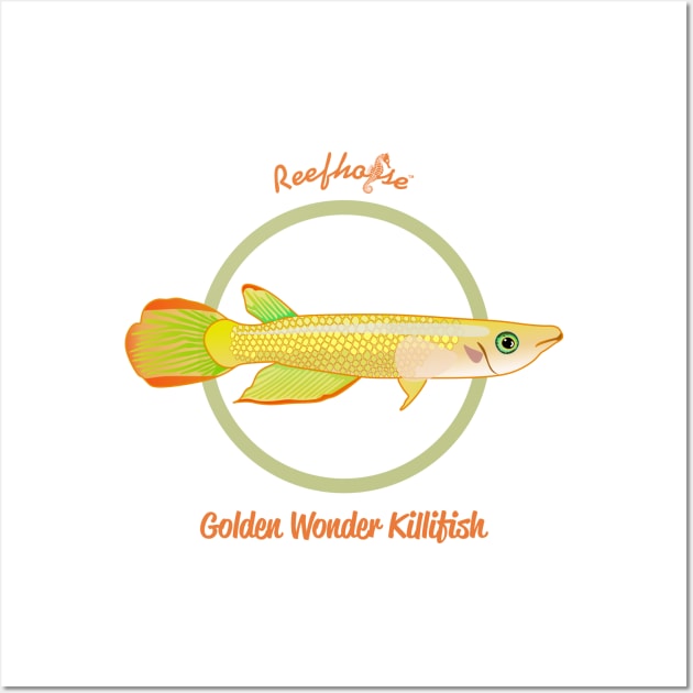 Golden Wonder Killifish - Reefhorse - Posters and Art Prints | TeePublic