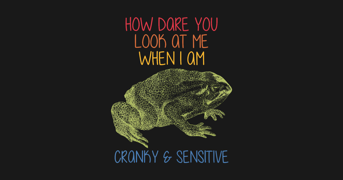 How Dare You Look At Me When I Am Cranky Sensitive - Cranky Attitude ...