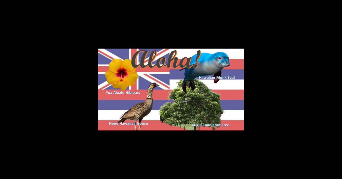 Aloha! Hawaii State Flag and State Symbols - Hawaii State Flag And ...