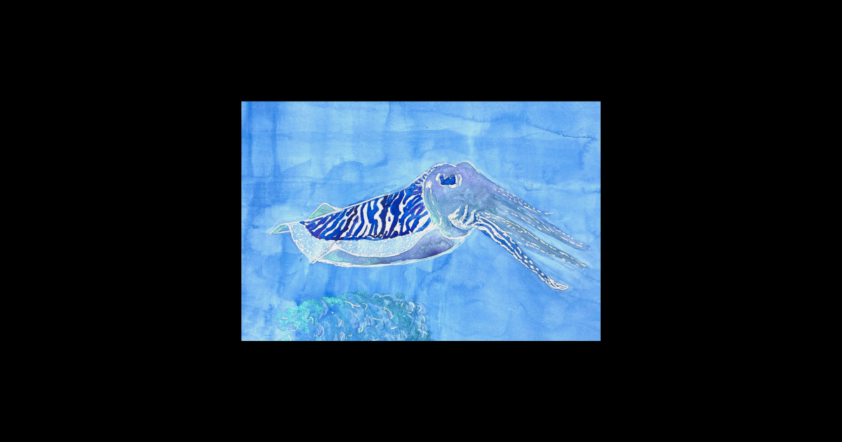 Cuttlefish - Cuttlefish - Sticker | TeePublic