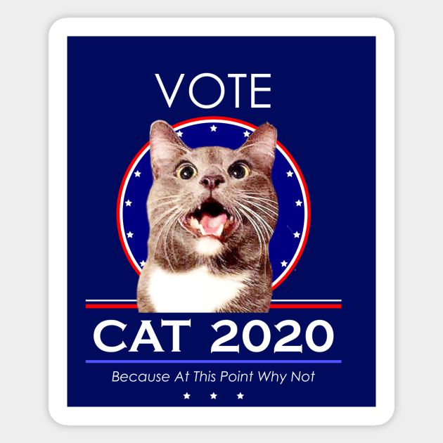 Vote Cat 2020! Because At This Point Why Not - Cat President - Sticker ...