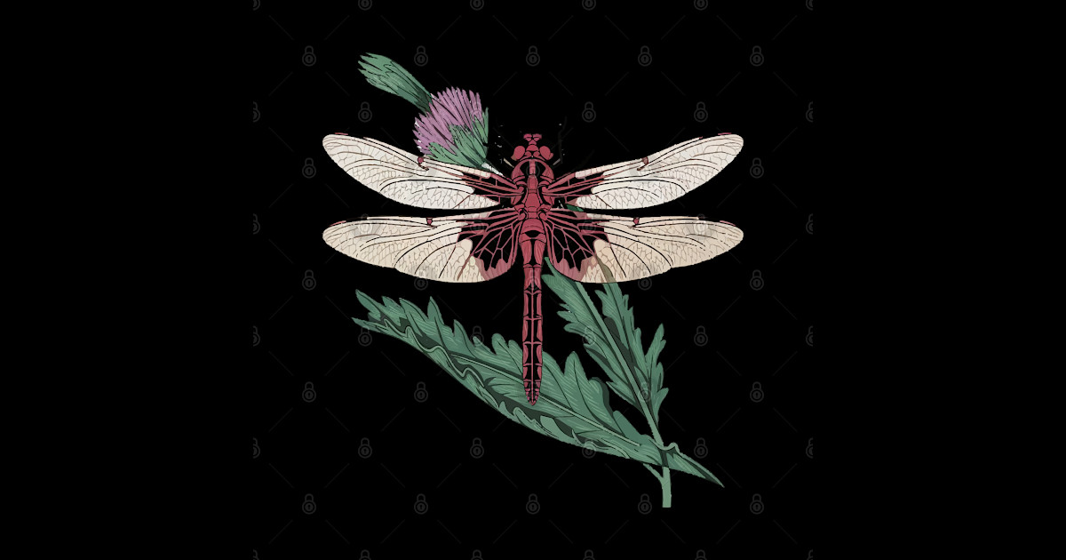 Spatterdock Dragonfly Art - Spatterdock Dragonfly Art - Sticker | TeePublic