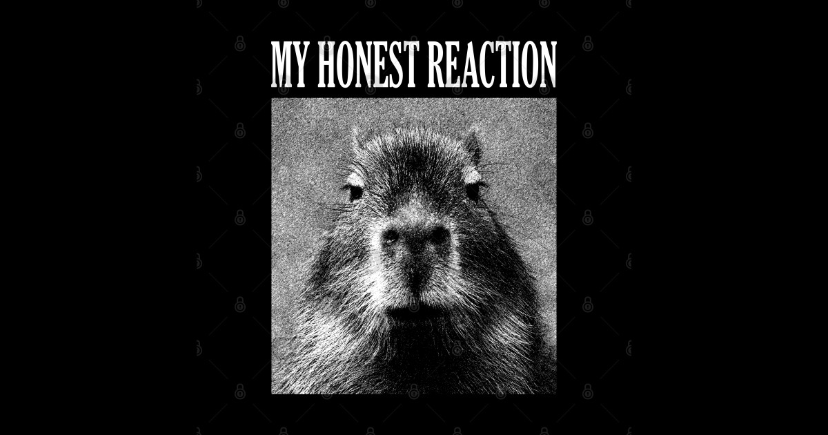 My Honest Reaction Capybara - My Honest Reaction - Sticker | TeePublic