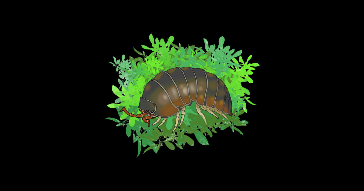 Roly Poly - Insect - Sticker | TeePublic