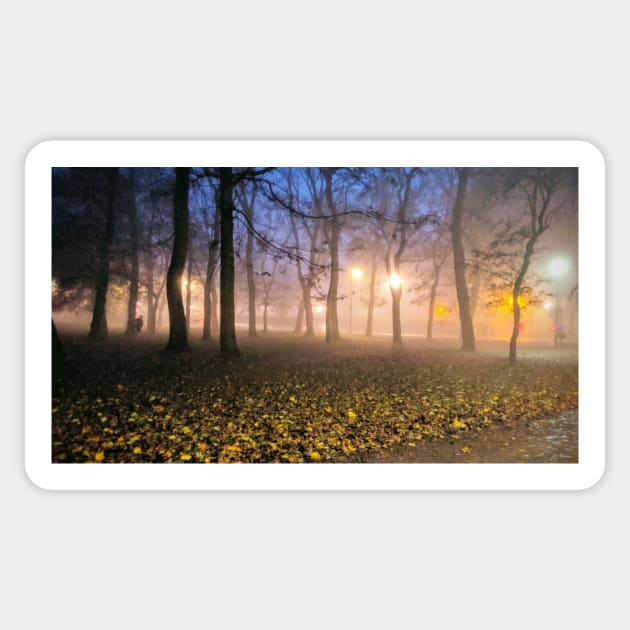 Dusk Fog Forest - Fog - Sticker | TeePublic