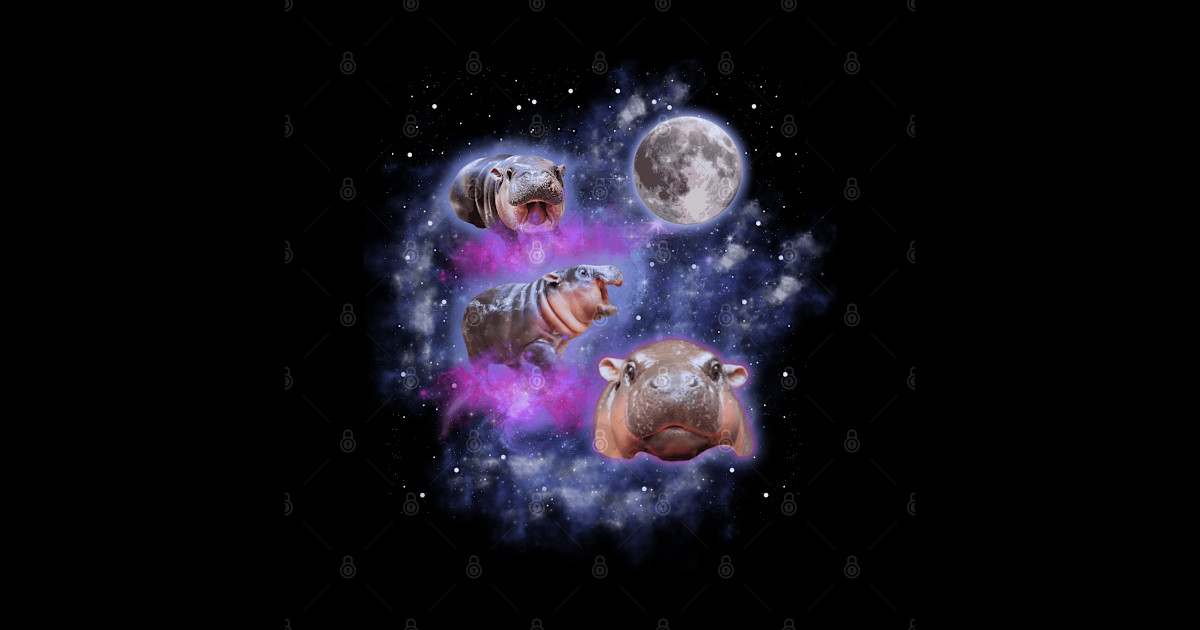 Moo Deng Three Moo Deng Moon Funny Hippo - Three Moo Deng Moon ...