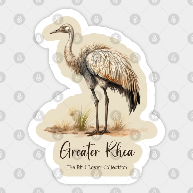 Greater Rhea - The Bird Lover Collection - Greater Rhea - Sticker ...