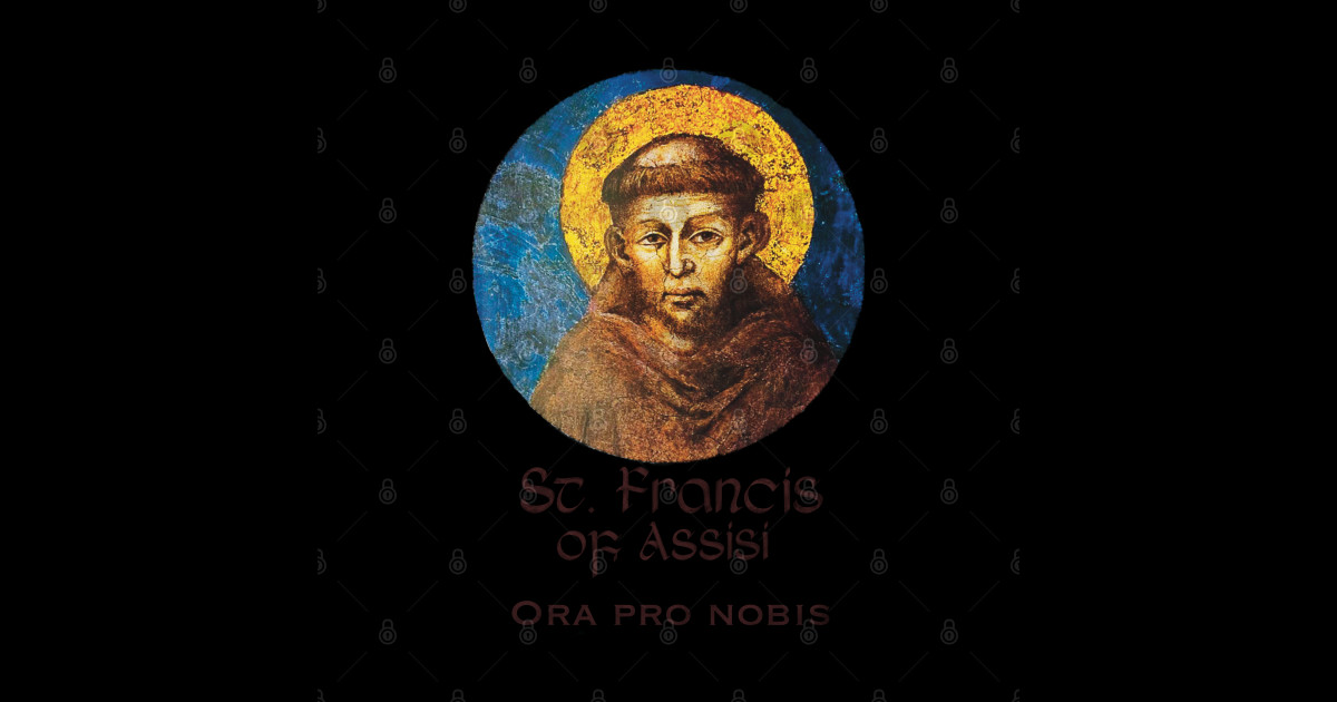St. Francis of Assisi, Ora pro nobis - Saint Francis - Magnet | TeePublic