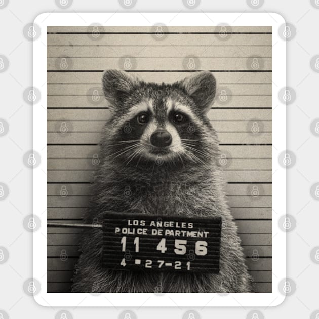 Mugshot Series 4 (Raccoon) - Raccoon - Sticker | TeePublic