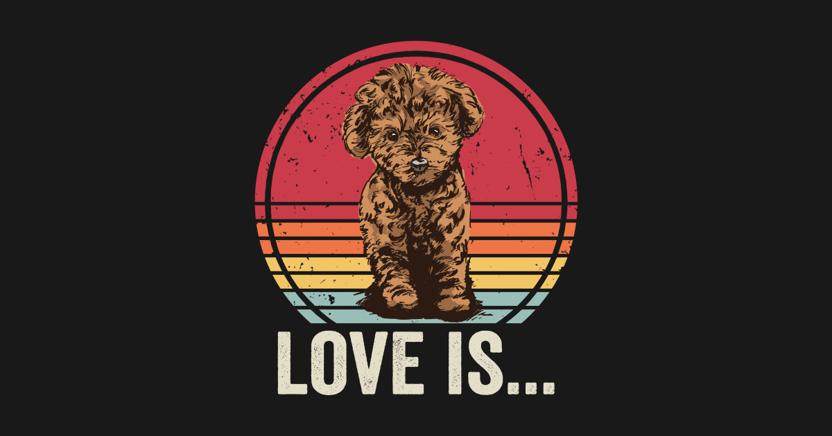 Love Is My Cavapoo Funny Cavapoo Lover - Cavapoo - T-Shirt | TeePublic