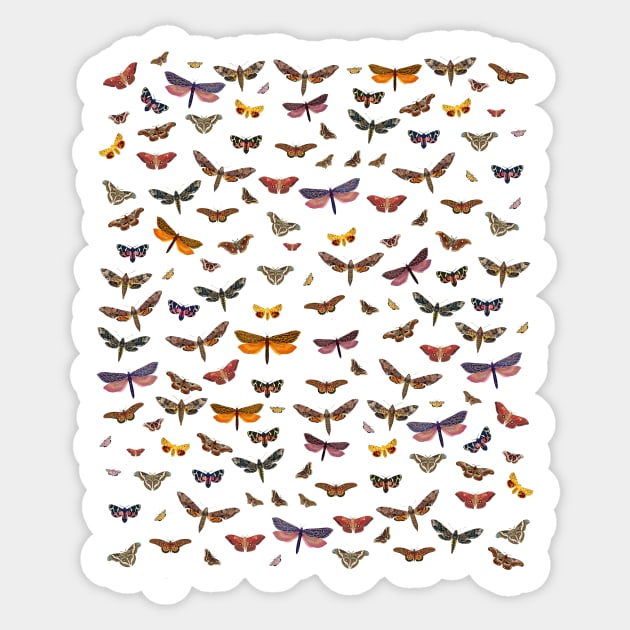 moths and butterflies - Moths - Sticker | TeePublic