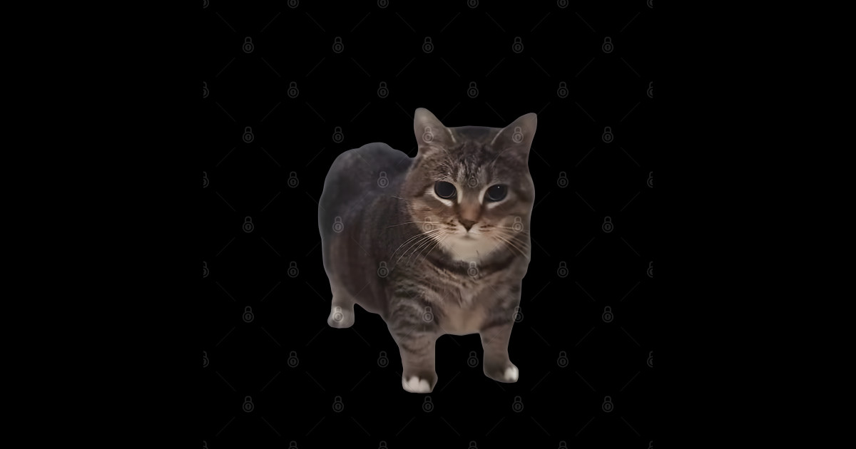 Oiiai Spinning Cat Funny Meme, Uiia Uiia Cat Lover - Cat Meme - Sticker ...