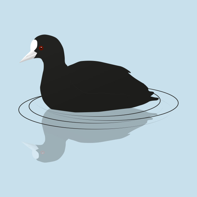 Common coot vector - Coot - T-Shirt | TeePublic