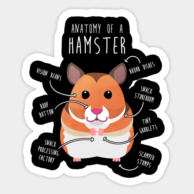 Syrian Hamster Anatomy - Hamster - Sticker | TeePublic