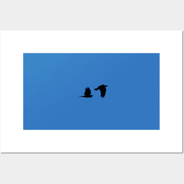 Two Ravens Flying Blue Sky - Ravens - Posters and Art Prints | TeePublic