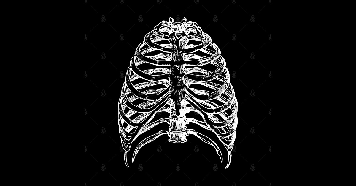 halloween rib cage - Halloween Rib Cage - Posters and Art Prints ...