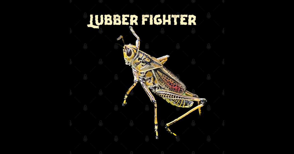 Lubber Locust Fighter T-shirt - Lubber Locust - Sticker | TeePublic