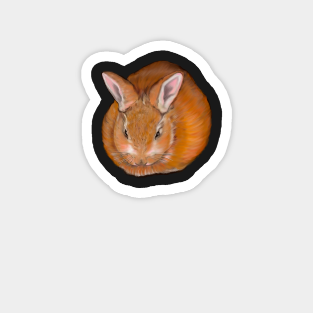 bunny rabbit cute baby ginger bunny rabbit - Rabbit - Magnet | TeePublic
