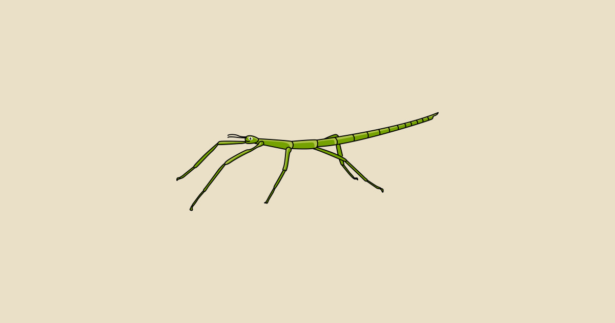 Cute green stick insects with happy faces cartoon - Cute Green Stick ...