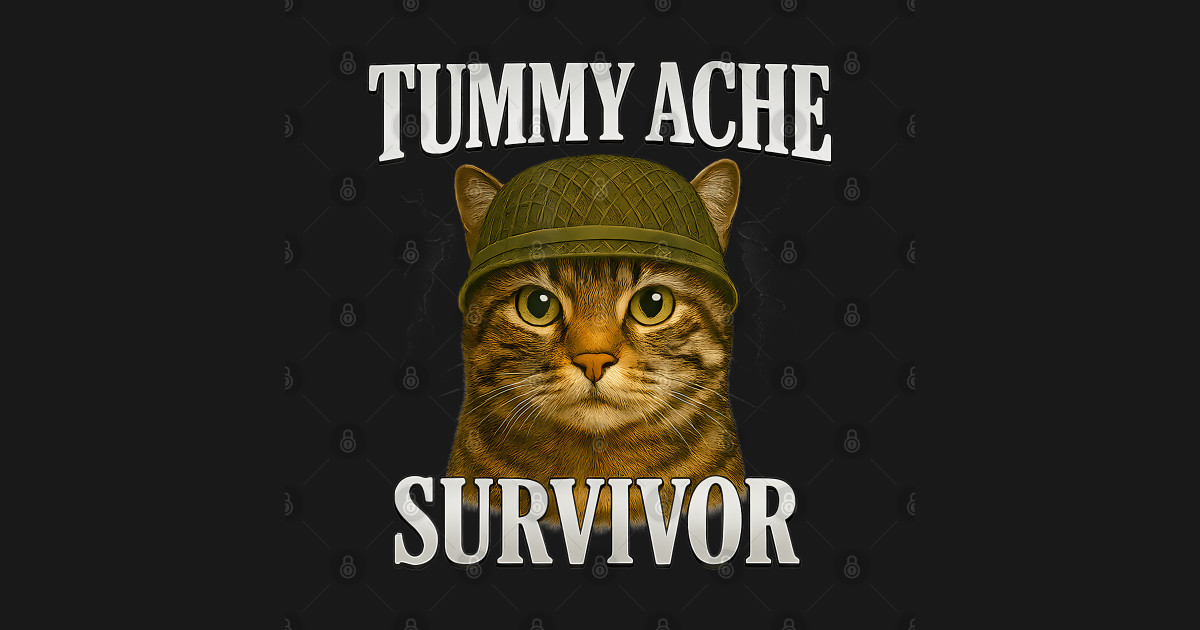 Tummy Ache Survivor Cat Kitten - Funny Cat Meme - T-Shirt | TeePublic