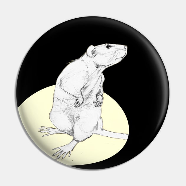 A cute rat - pencil drawing - Rat - Pin | TeePublic