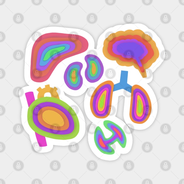 Layered 3D Paper Anatomic organs - Paper Anatomic Organs - Magnet ...