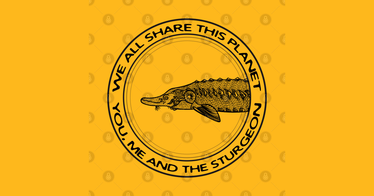 Sturgeon design - meaningful fish drawing for animal lovers - Sturgeon ...