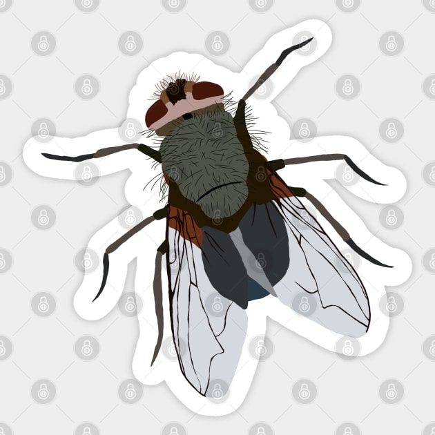 Fly - Fly - Sticker | TeePublic