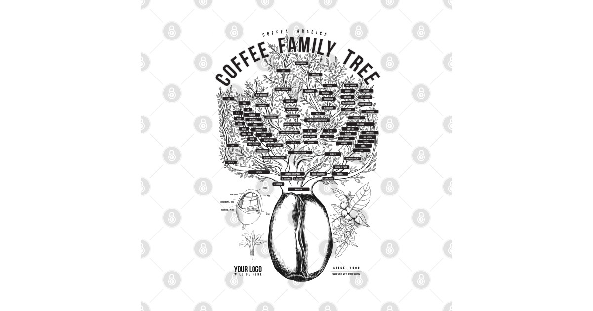 Custom Coffee Family Tree - Coffee - T-Shirt | TeePublic