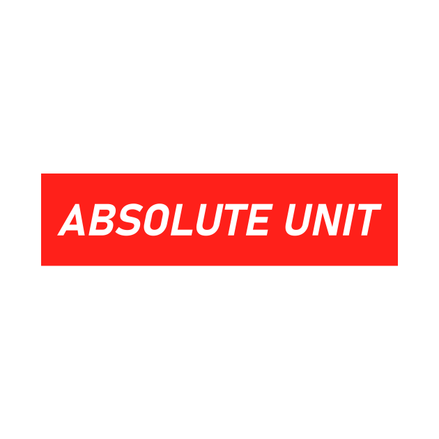 ABSOLUTE UNIT - Absolute - T-Shirt | TeePublic