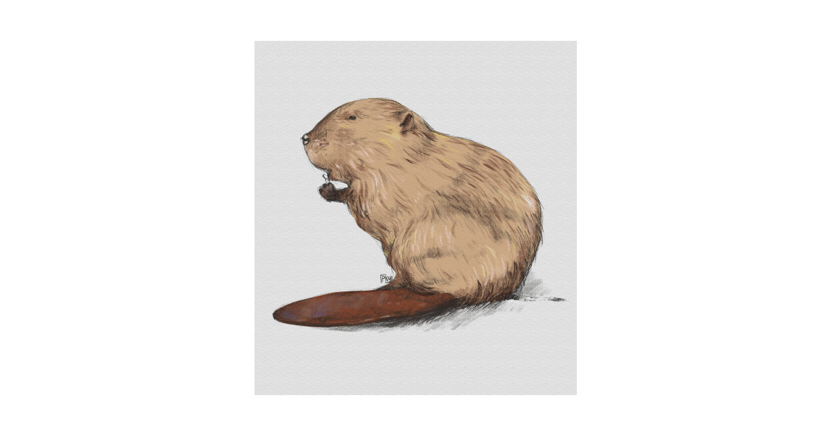 The Beaver - Animal - T-Shirt | TeePublic
