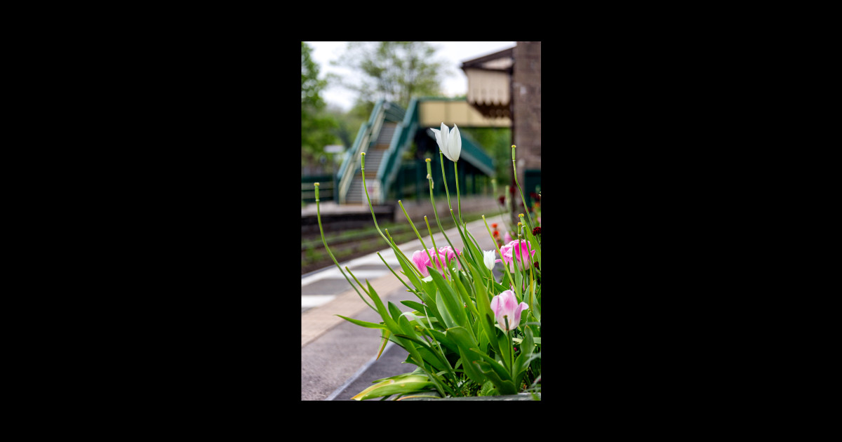 Chirk station - Railway - Sticker | TeePublic