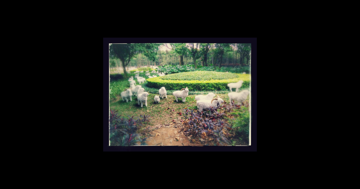 Counting Sheep - Sheep - Posters and Art Prints | TeePublic