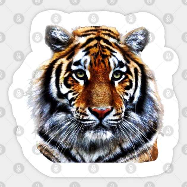 Tiger Head - Tiger - Sticker | TeePublic