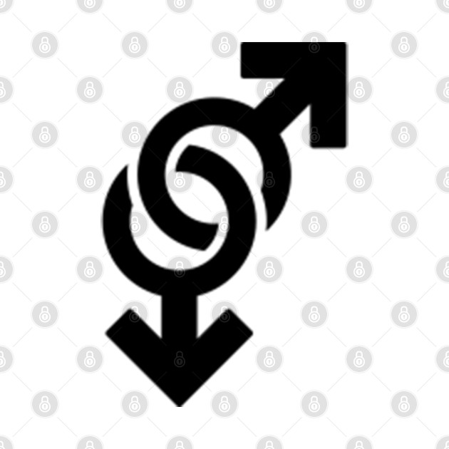 Gay Pride Shield - Gay Pride - T-Shirt | TeePublic