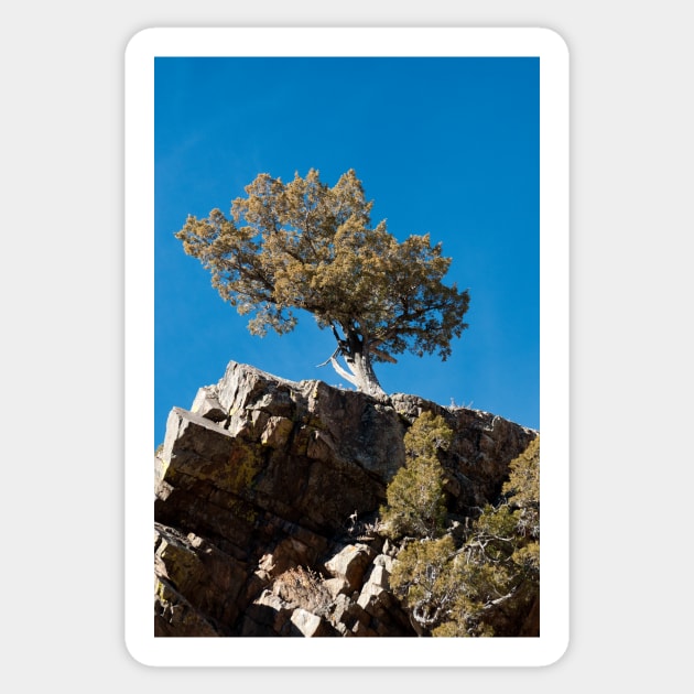 Cliff Hanger - Canyon - Sticker | TeePublic