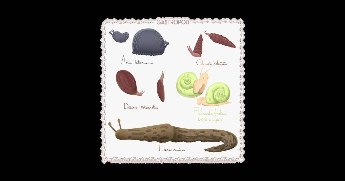 Slugs and Snails - Slug - Sticker | TeePublic