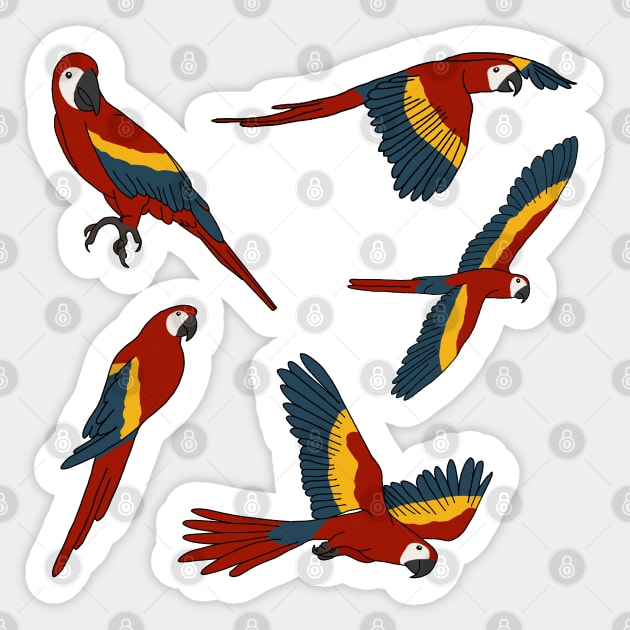 Parrots Pack - Parrot - Sticker | TeePublic