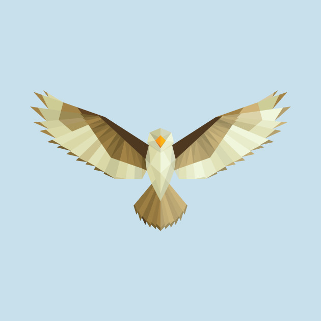 Geometric Hawk - Hawk - Mug | TeePublic