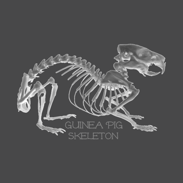 Guinea Pig Skeleton - Guinea Pig - T-Shirt | TeePublic