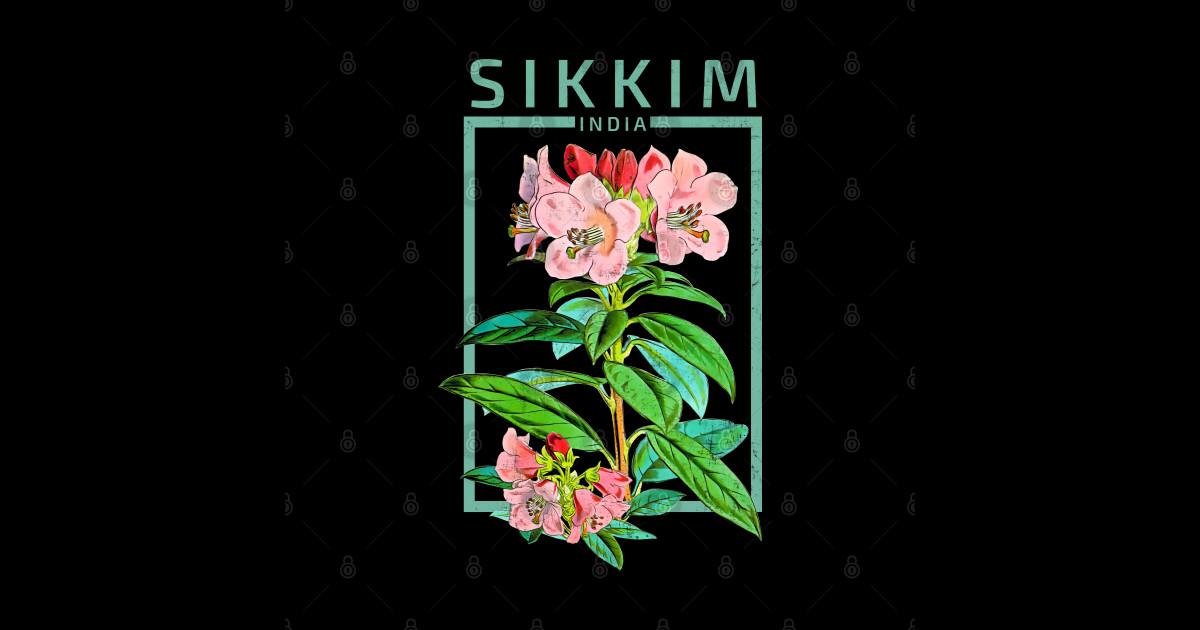 Sikkim India Vintage Botanical Illustration - Sikkim India - Posters ...